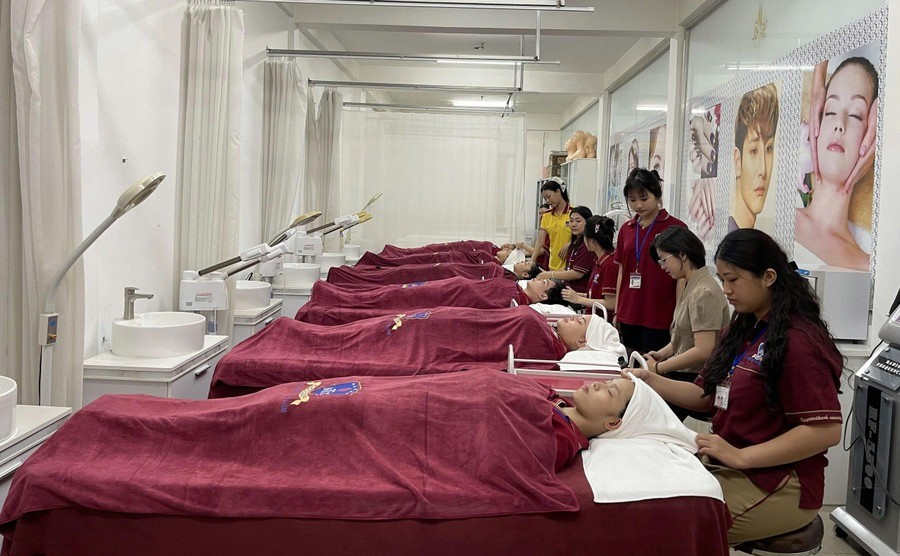 직업전문학교 선택 - Z세대를 위한 전략적 선택