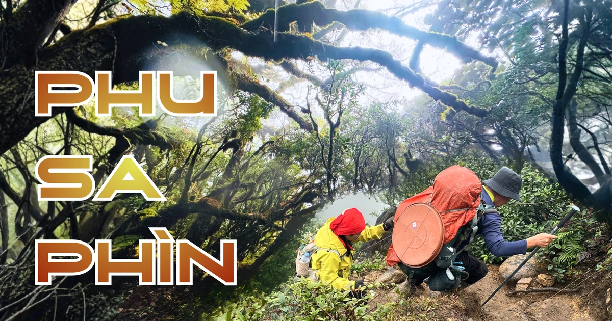 Chinh phục Phu Sa Phìn không chỉ là một chuyến đi