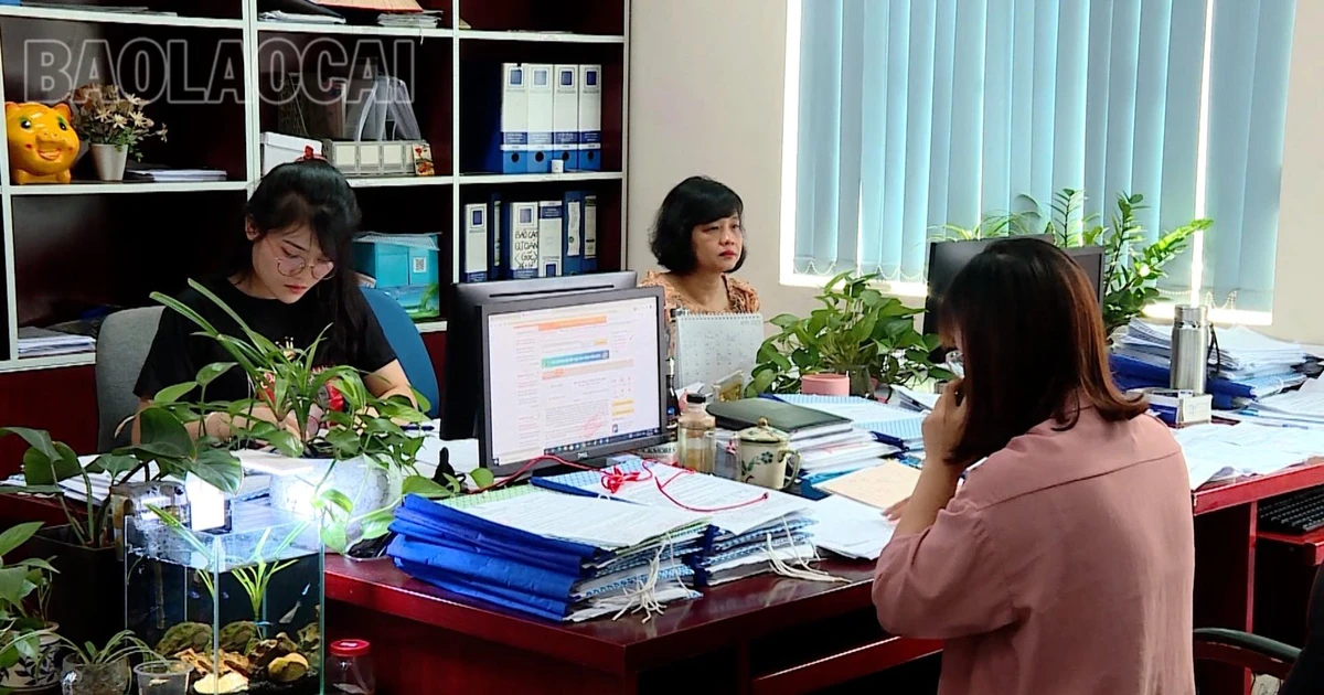 Triển khai đánh giá sự hài lòng của người nộp thuế đối với sự phục vụ ...