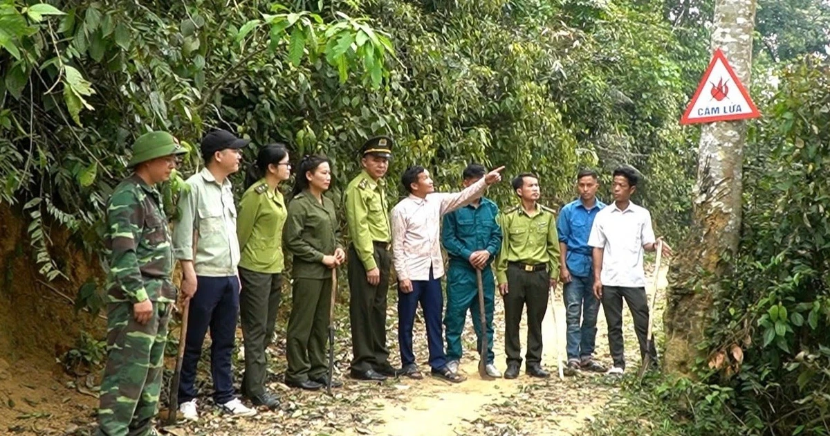 Giữ rừng ở Trạm Tấu | Báo Lào Cai điện tử