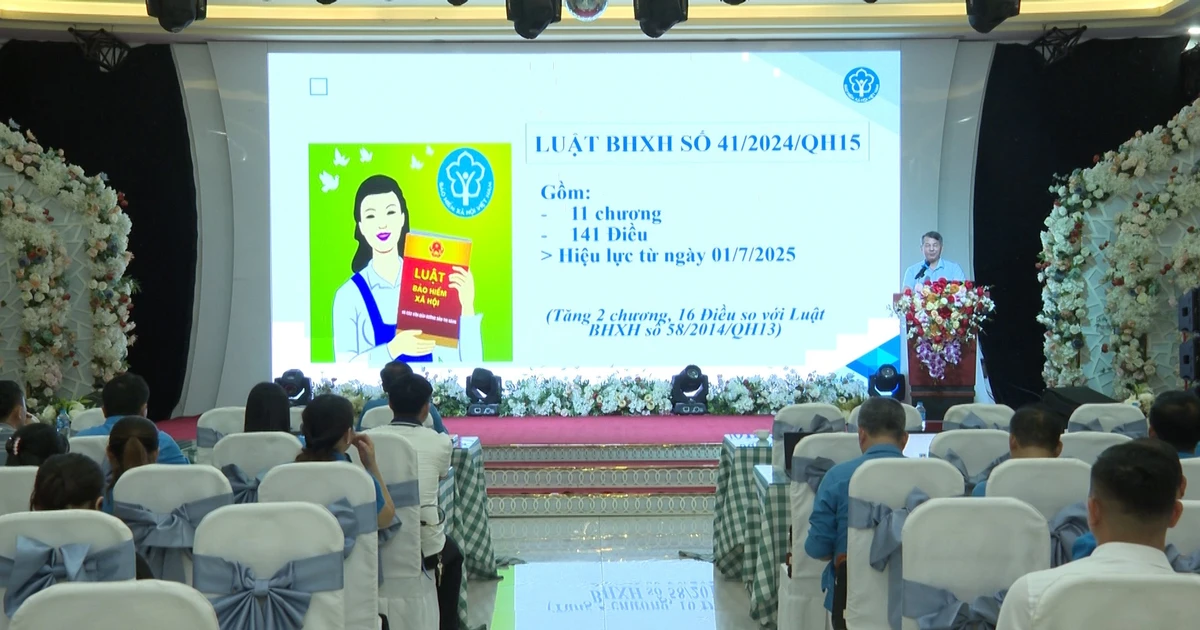 Hơn 200 đại biểu được tập huấn Luật Công đoàn số 50/2024/QH15 và Luật ...