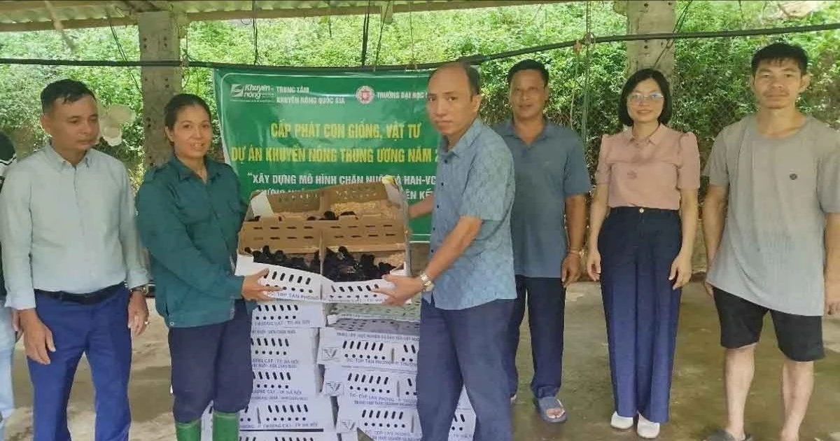 Hỗ trợ giống và vật tư cho mô hình chăn nuôi gà đạt chuẩn VietGAHP ...