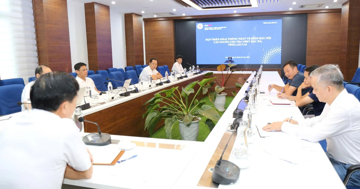 Thống nhất phương án đấu nối cấp nguồn cho dự án "Đường dây và TBA ...