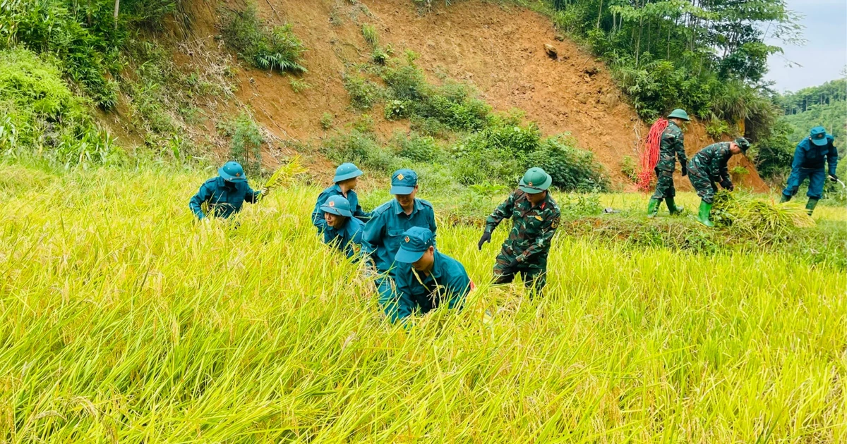 Tô Thắm Tình Thêm Quân Dân: Gắn Bó, Phát Triển Hợp Tác