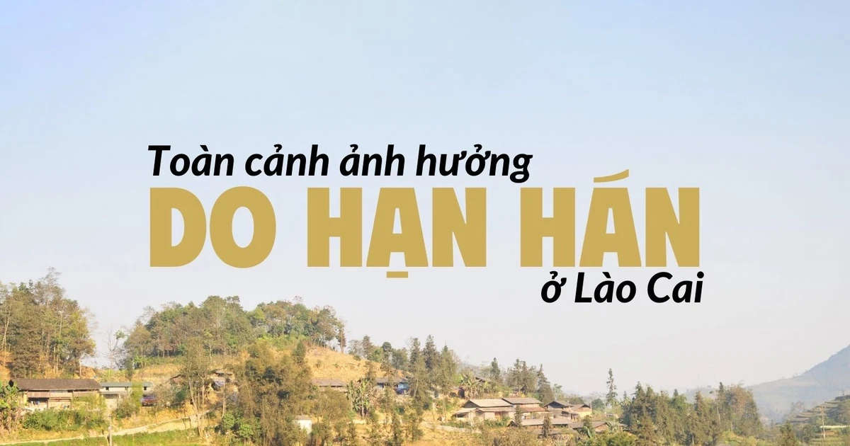 Toàn cảnh ảnh hưởng do hạn hán ở Lào Cai | Báo Lào Cai điện tử
