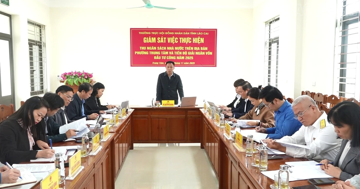 Thường trực HĐND tỉnh Lào Cai giám sát thu ngân sách và giải ngân vốn đầu tư công tại phường ...