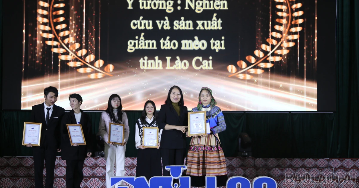 Chung kết cuộc thi “Sinh viên TNU-LCC với ý tưởng sáng tạo - khởi ...