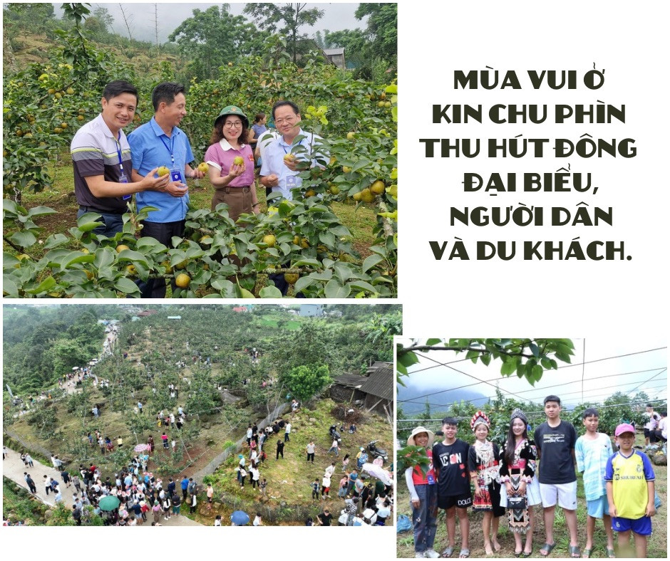 Lên Kin Chu Phìn ngắm “hoa hậu lê” | Báo Lào Cai điện tử